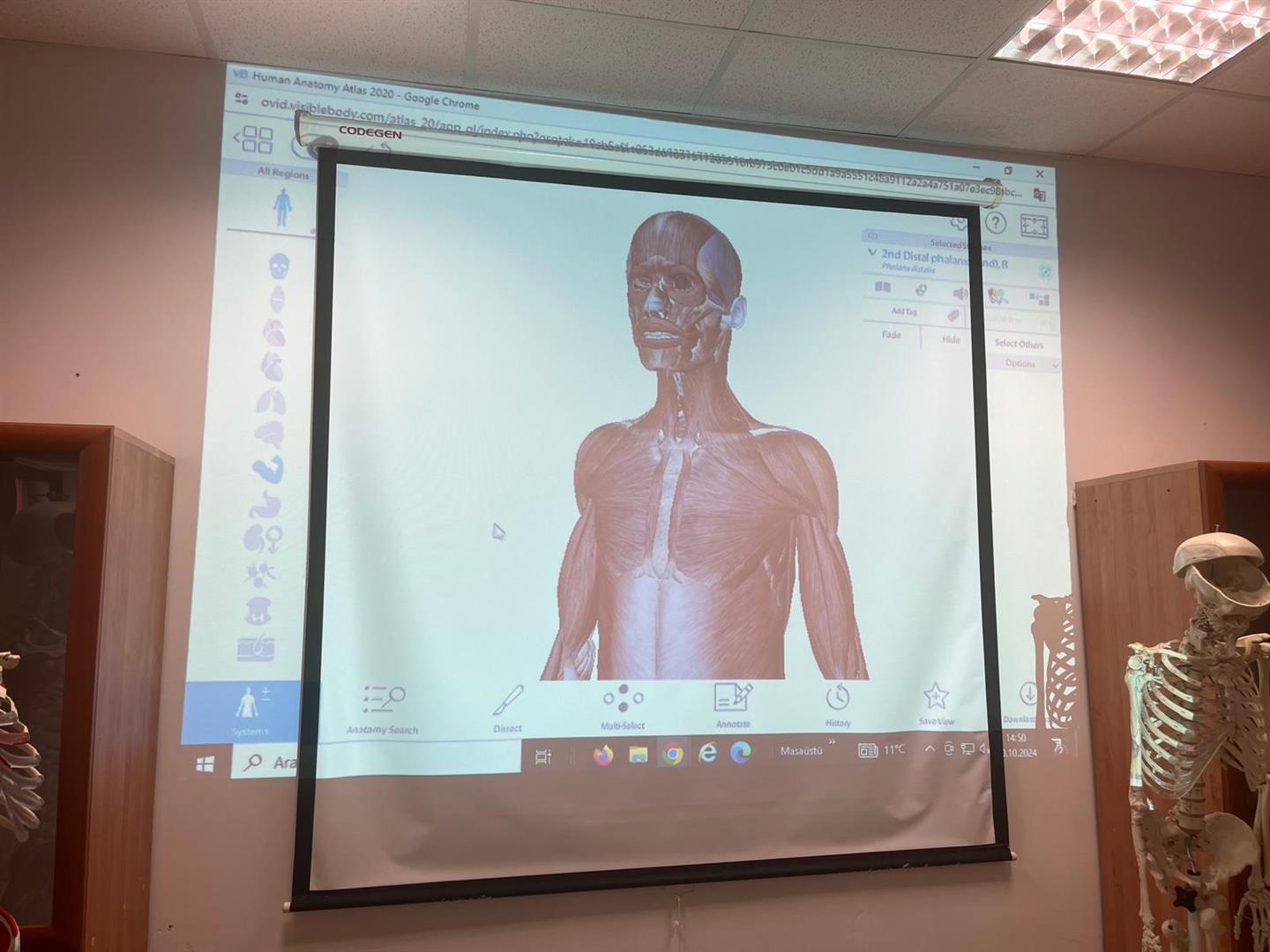 Ergoterapi Bölümü - Çankırı Karatekin Üniversitesi